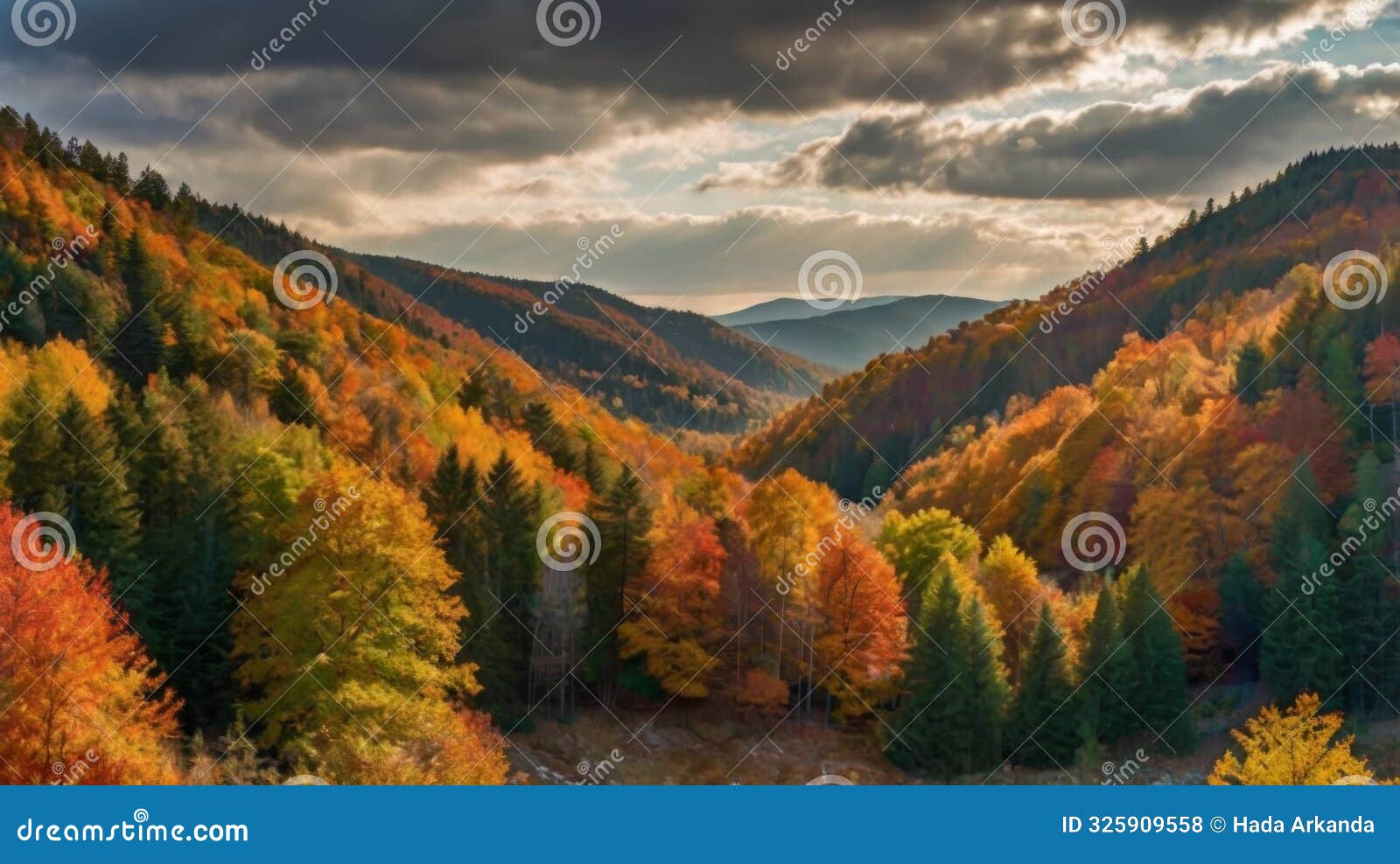 Panoramic Fall Nature Scene with Forest Background Stock Illustration ...