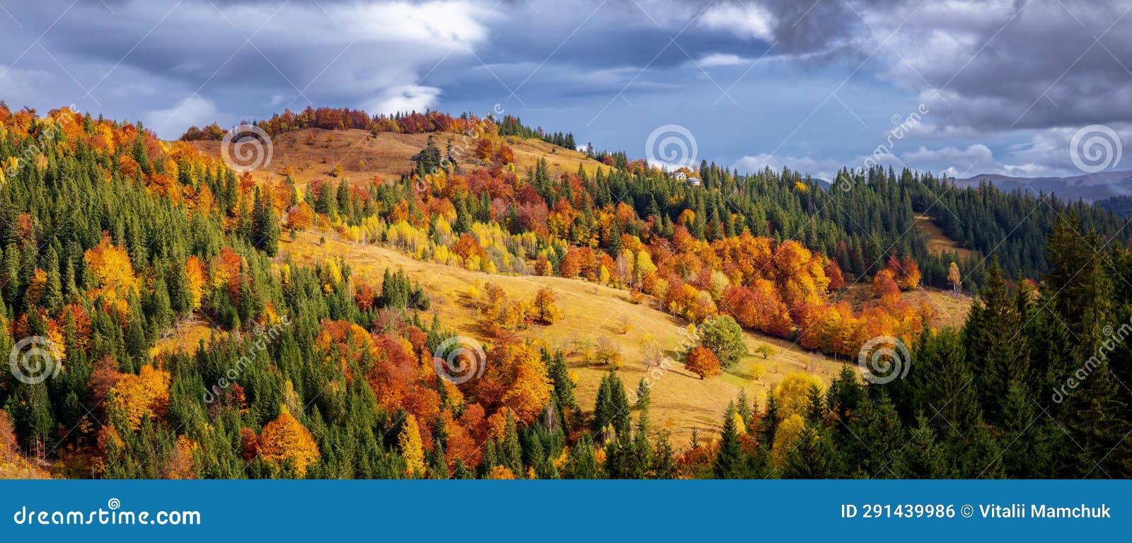 Panoramic Fall Scenery. Landscape with Orange, Red, Green Tree. Fields ...