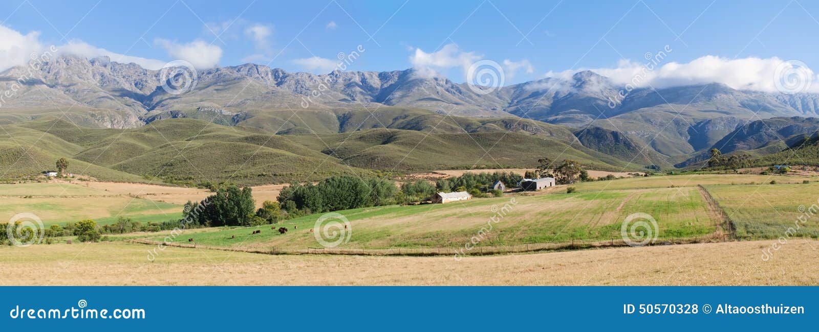 Panoramic Farm Landscape with High Mountains and Fields Stock Photo ...