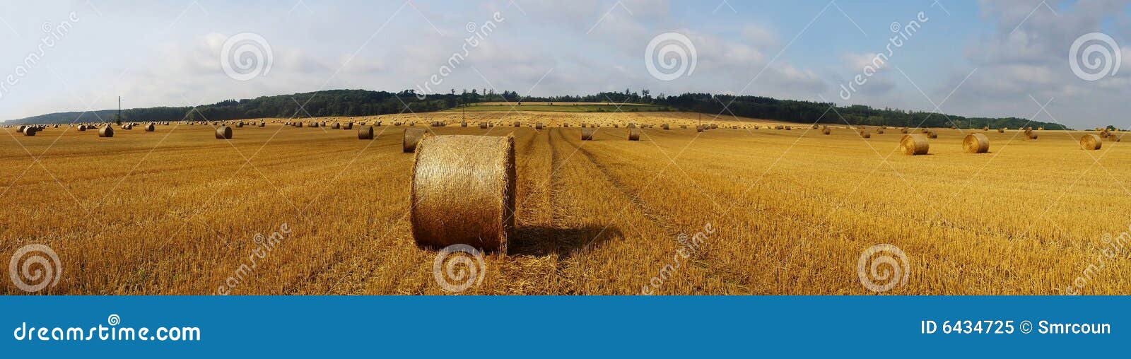Panoramic Field and Hay Bales Stock Image - Image of farmer ...
