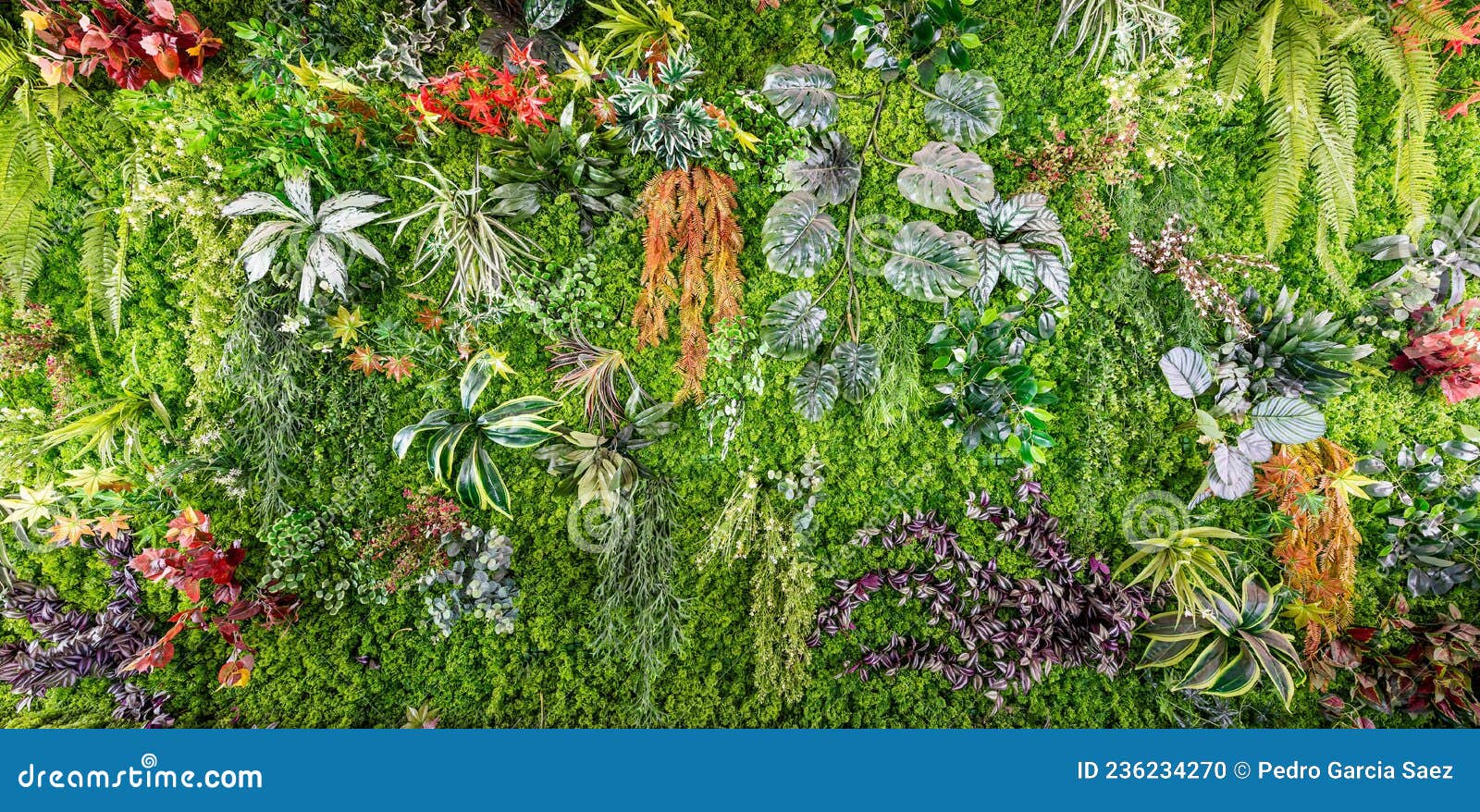 Panoramic Front View of Vertical Garden Stock Illustration ...