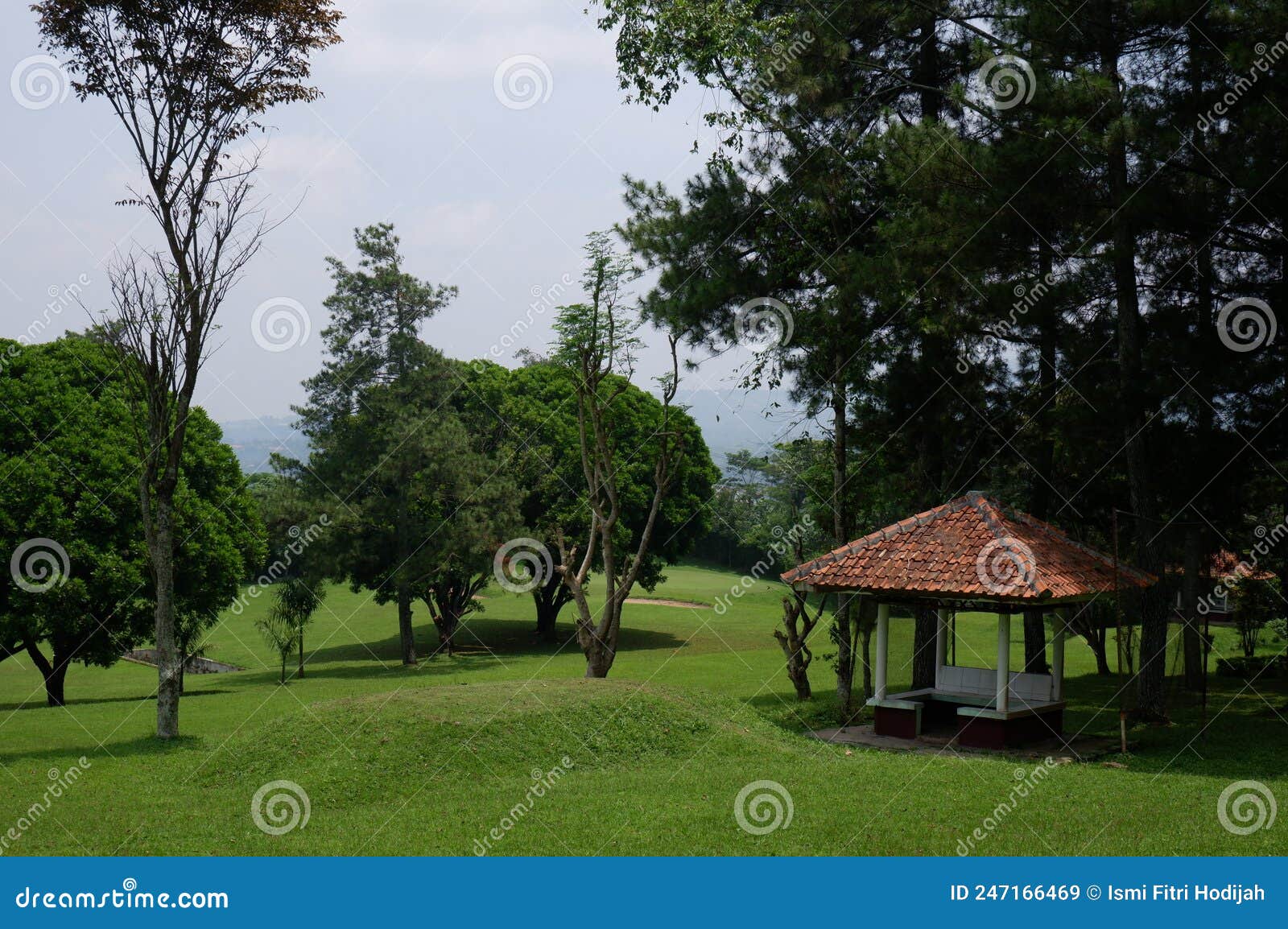 Golf Course Trees and a Mini House. Stock Image - Image of beautiful ...
