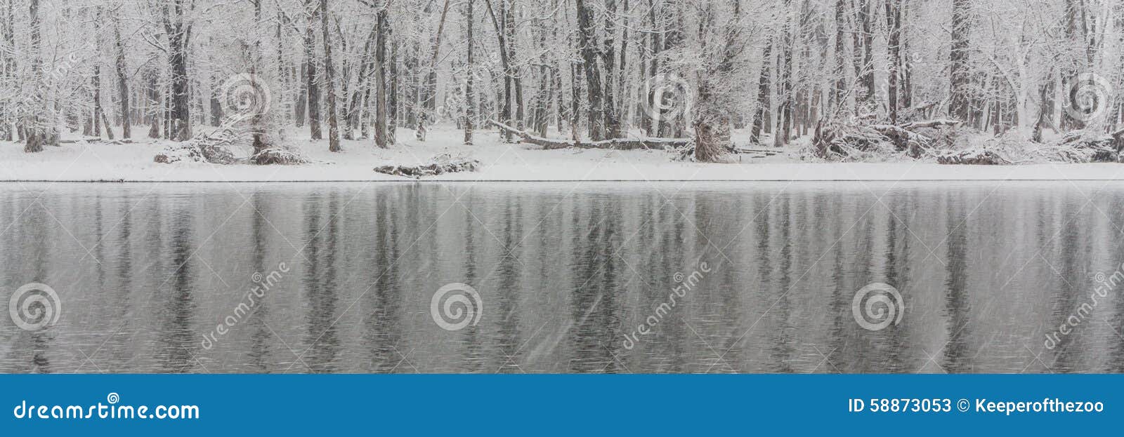 Panoramic Icy Winter Tree Reflections Stock Image - Image of reflection ...