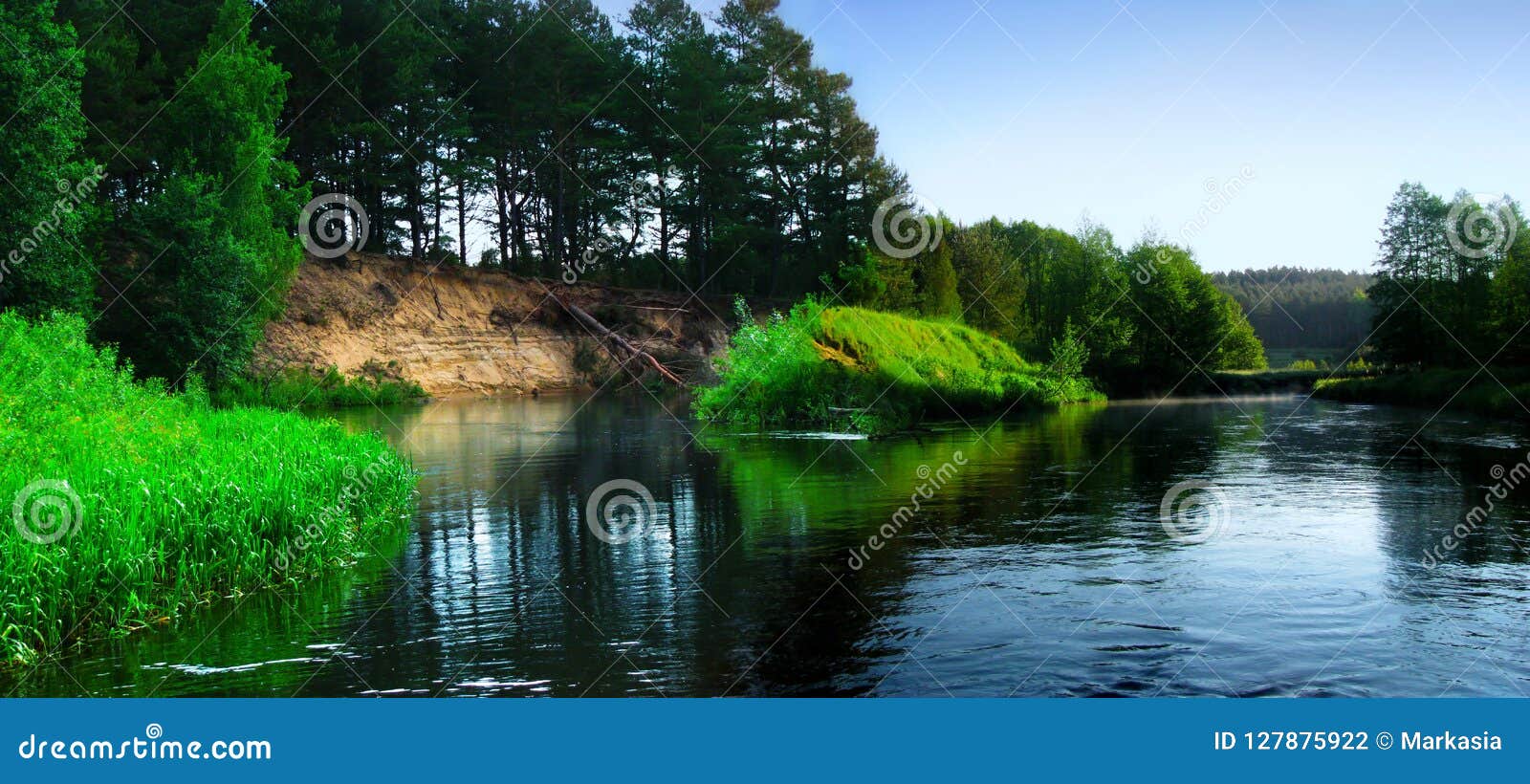 Panoramic Image of the Forest River Stock Photo - Image of grass ...