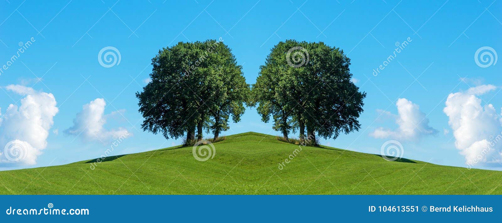 Identical Tree Groups on the Meadow Stock Image - Image of pasture ...