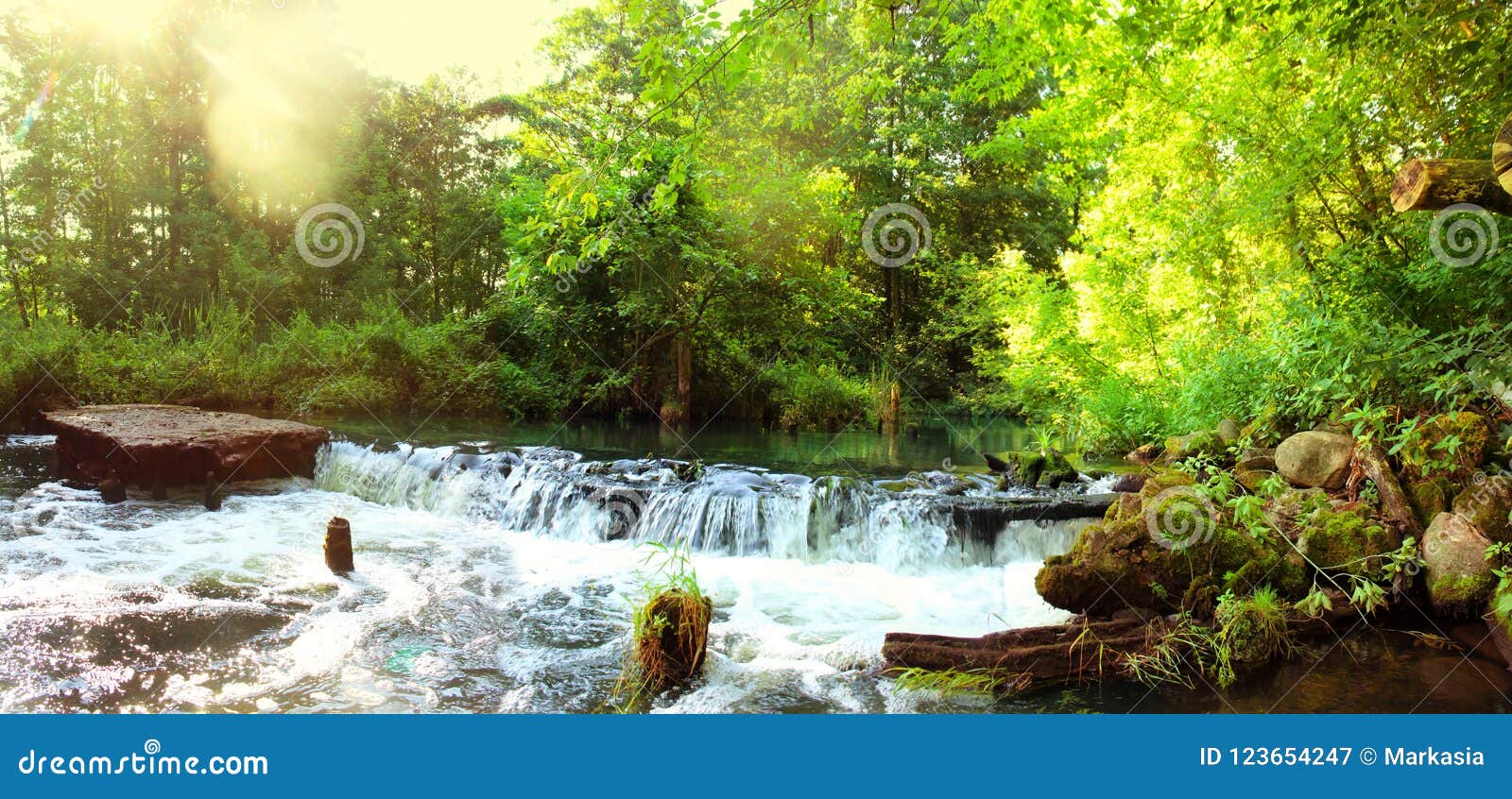 Panoramic Image of a Waterfall on a Forest Stock Image - Image of stone ...