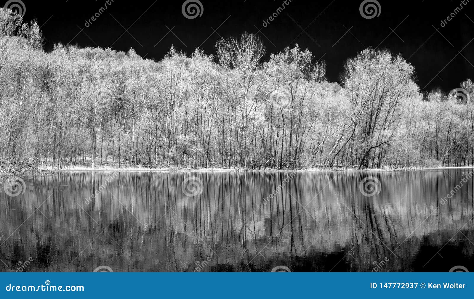 Panoramic Infrared Black and White Lake, Forest, and Sky Stock Image ...