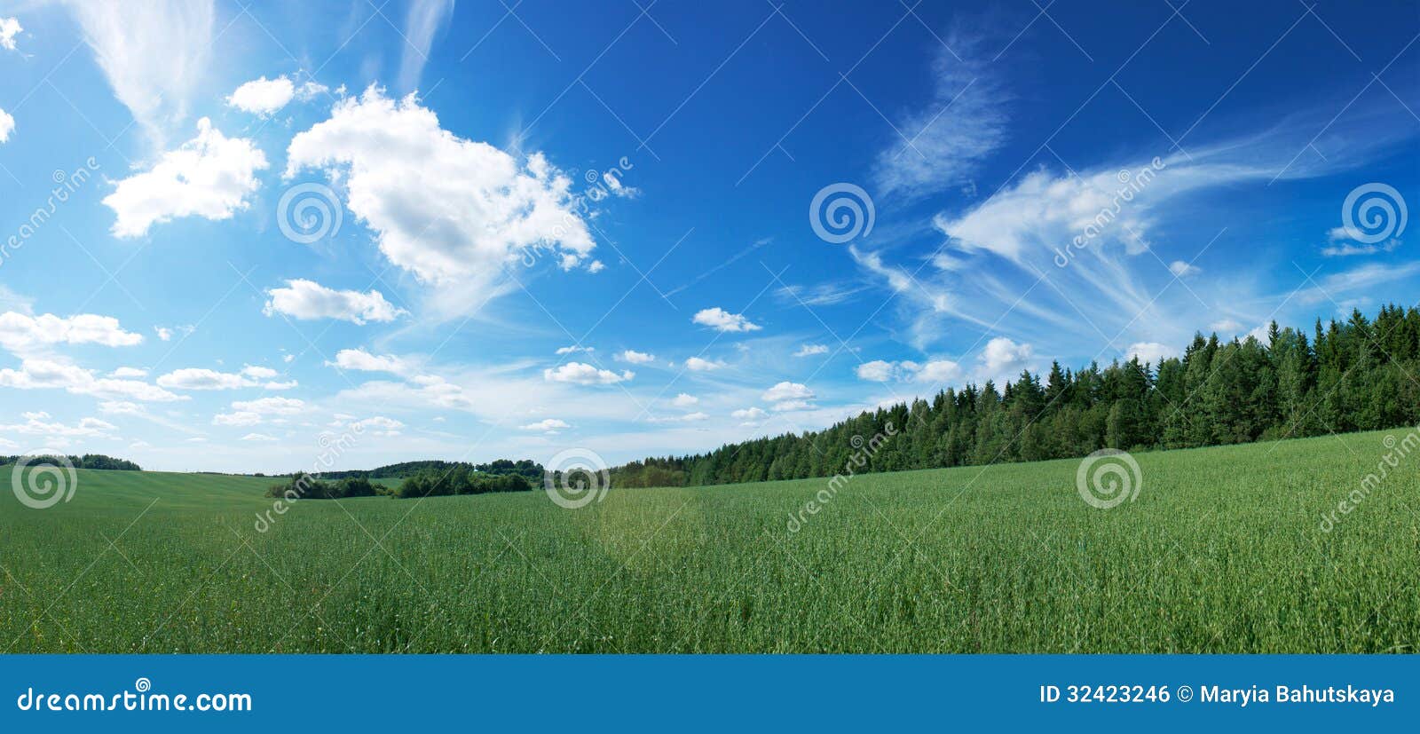 Panoramic Landscape with Green Field and Blue Sky Stock Photo - Image ...