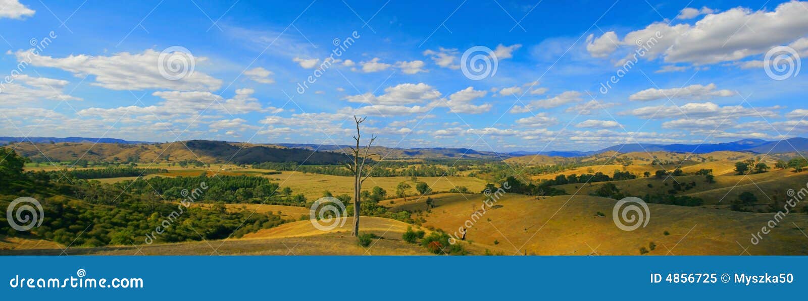 Panoramic landscape photo stock image. Image of daylight - 4856725