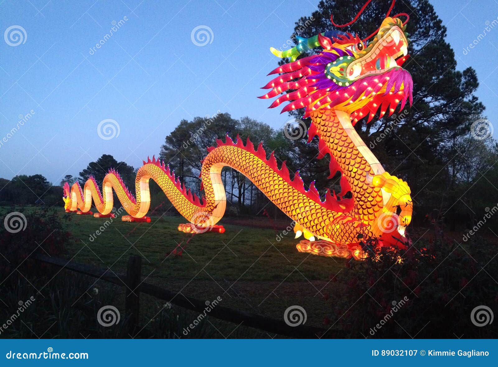 Panoramic Light Up Dragon stock image. Image of luck - 89032107