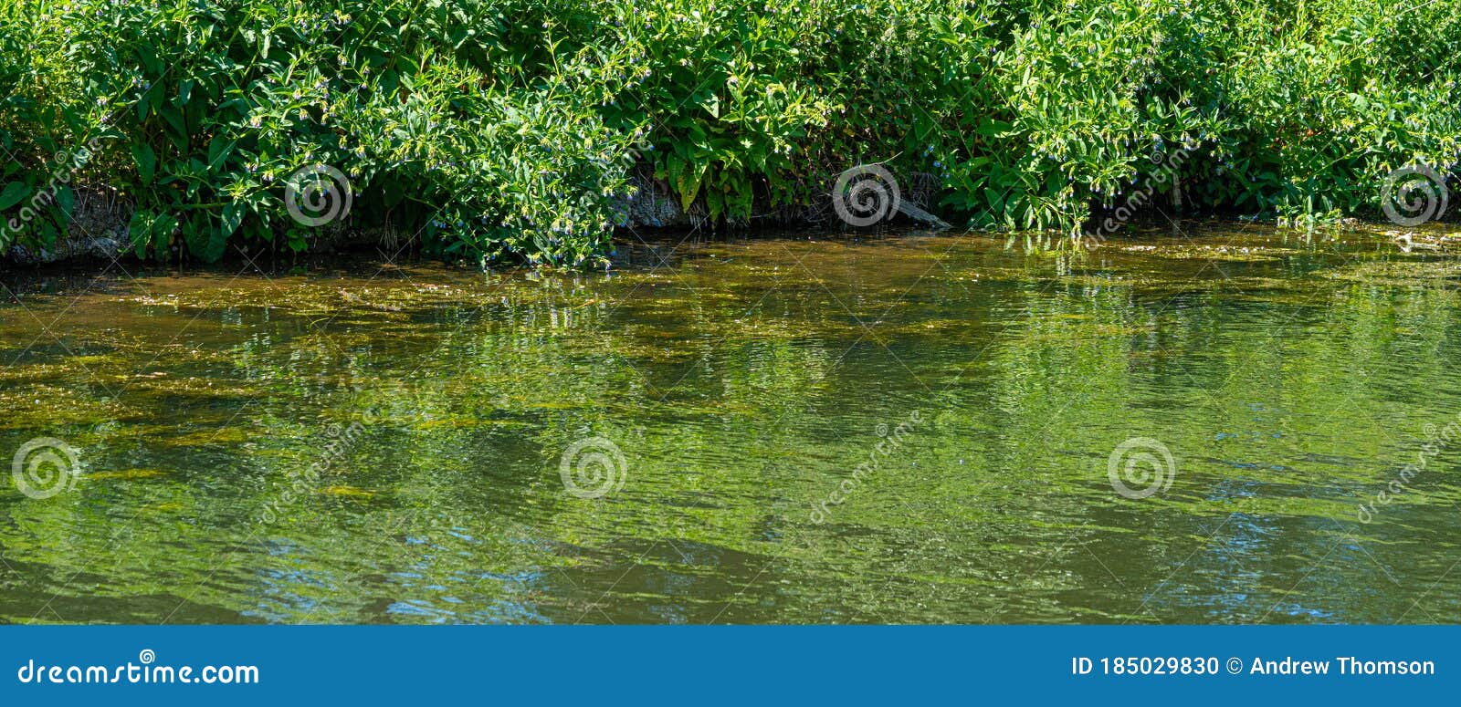 Panoramic Low Angle View of Canal Riverback Stock Photo - Image of ...