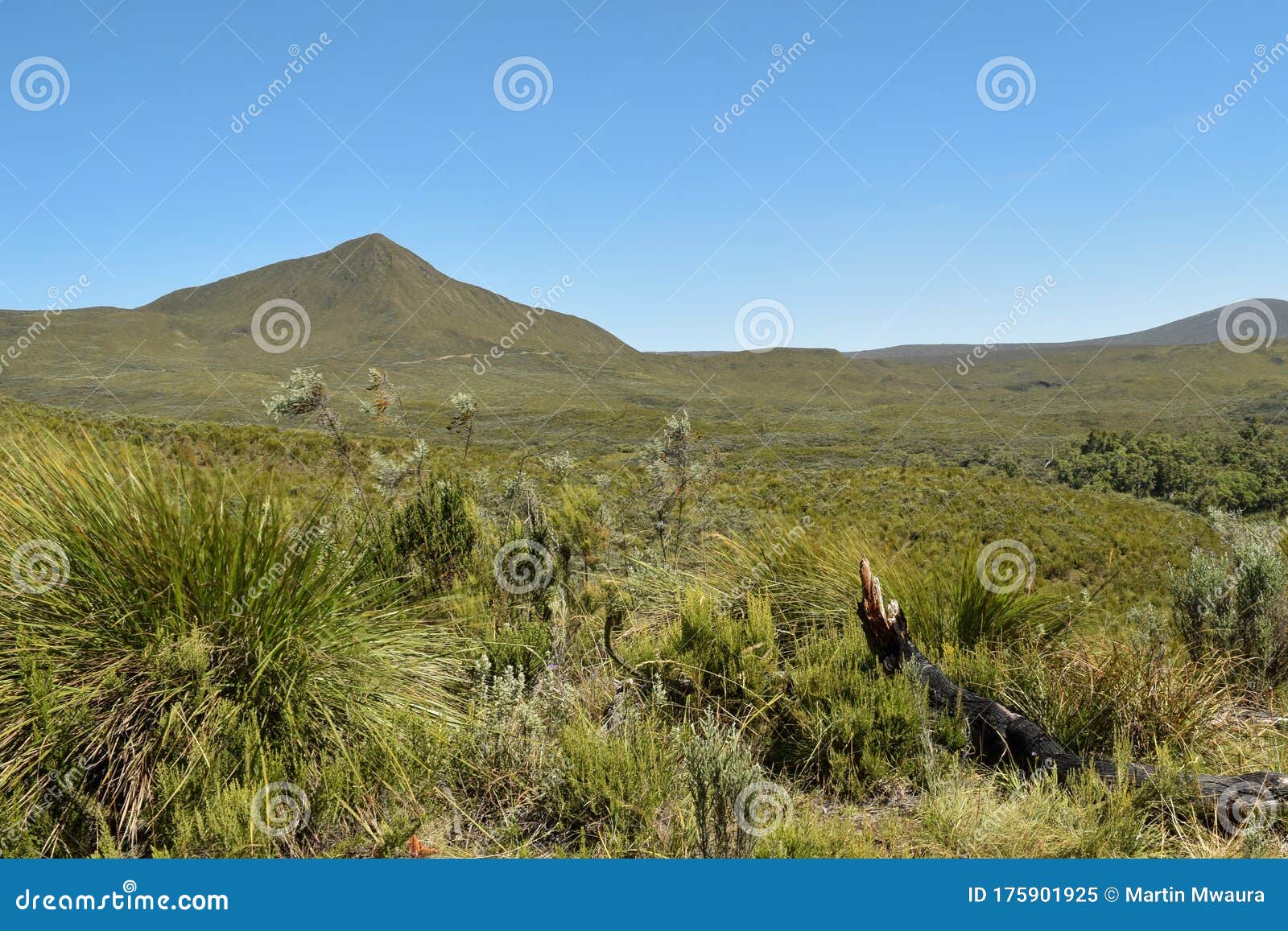 Panoramic Mountain Ranges in Rural Kenya, Mount Kenya Stock Image ...