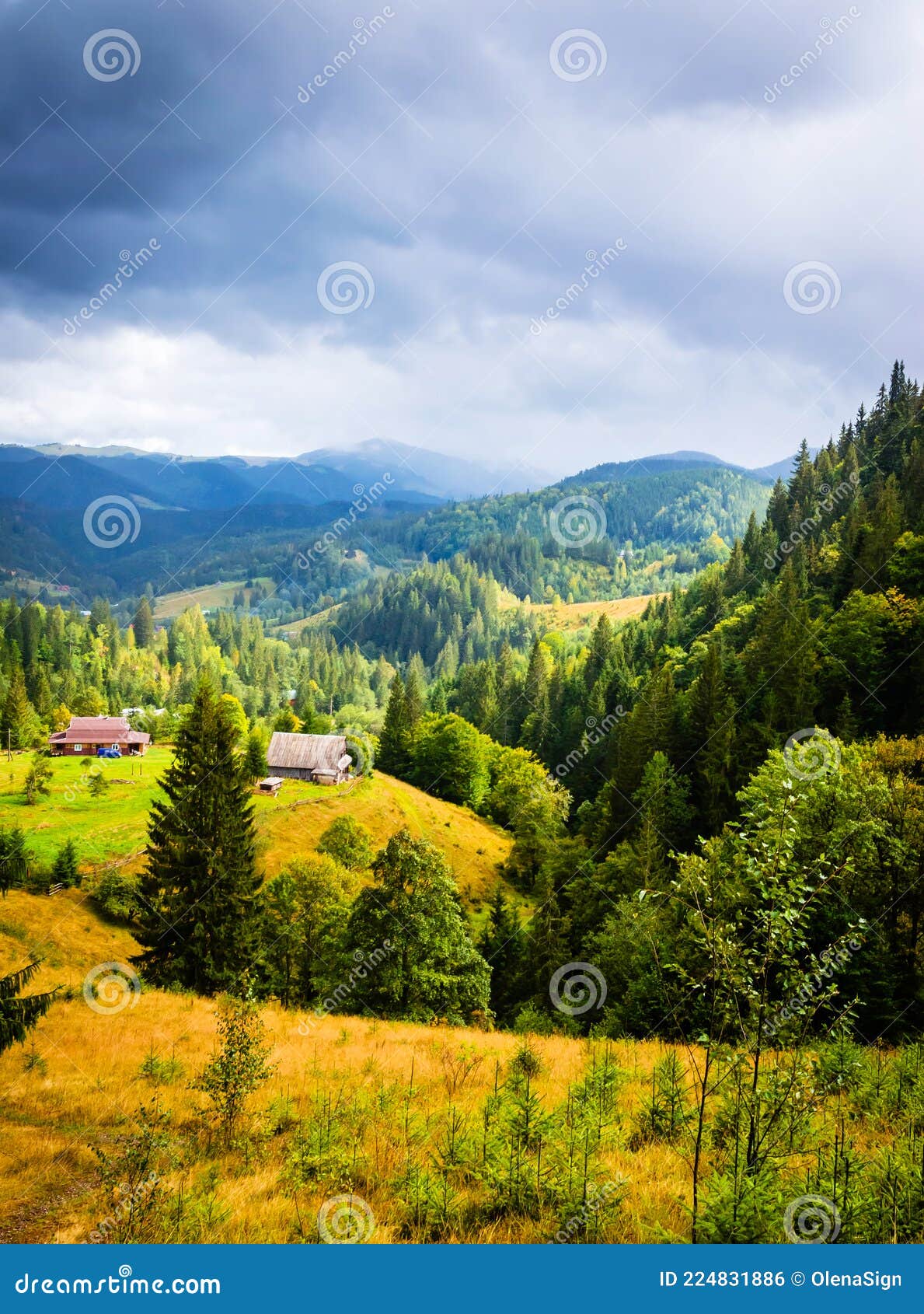 Panoramic Mountain View. Summer in the Mountains Stock Photo - Image of ...
