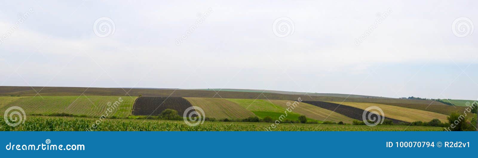 Panoramic Multi-colored Fields Stock Photo - Image of husbandry ...