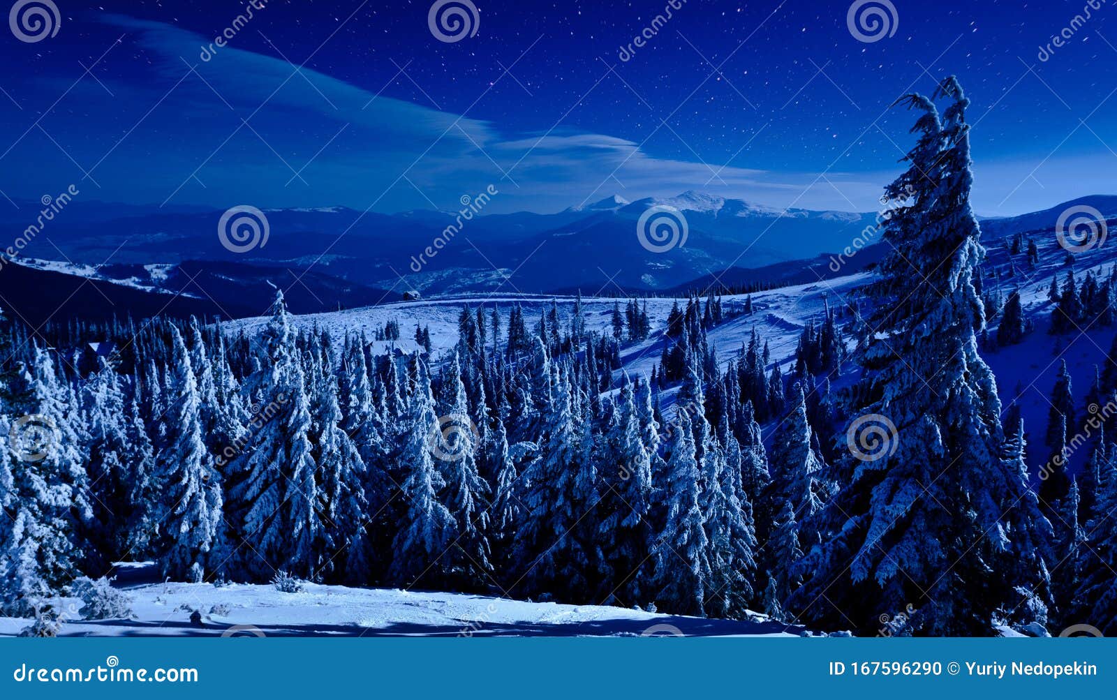 Mountains Forest Winter Night