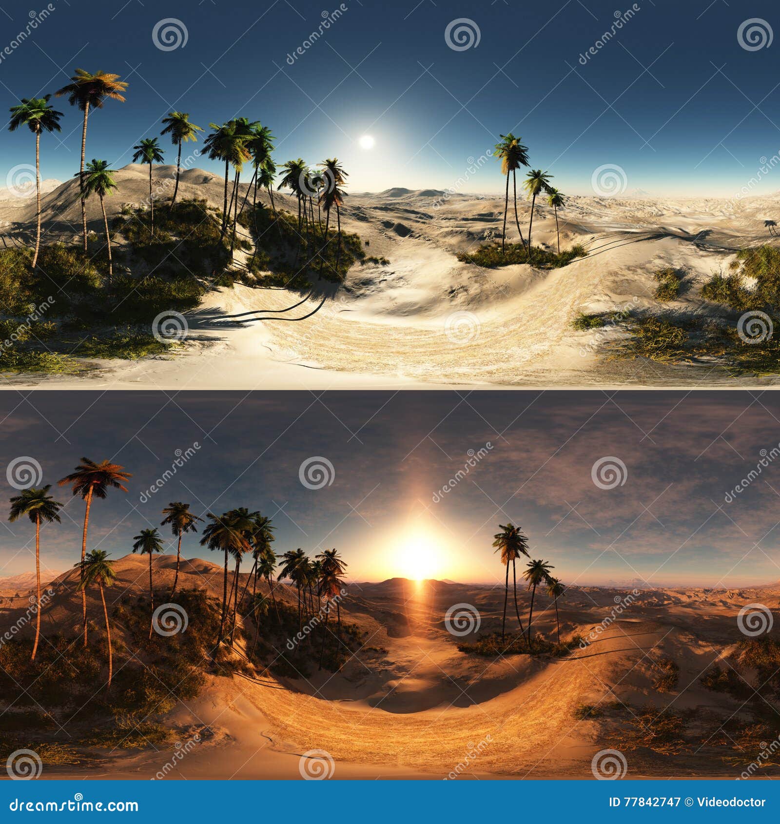 Panoramic of Palms in Desert. Made with the One 360 Degree Lense Camera ...
