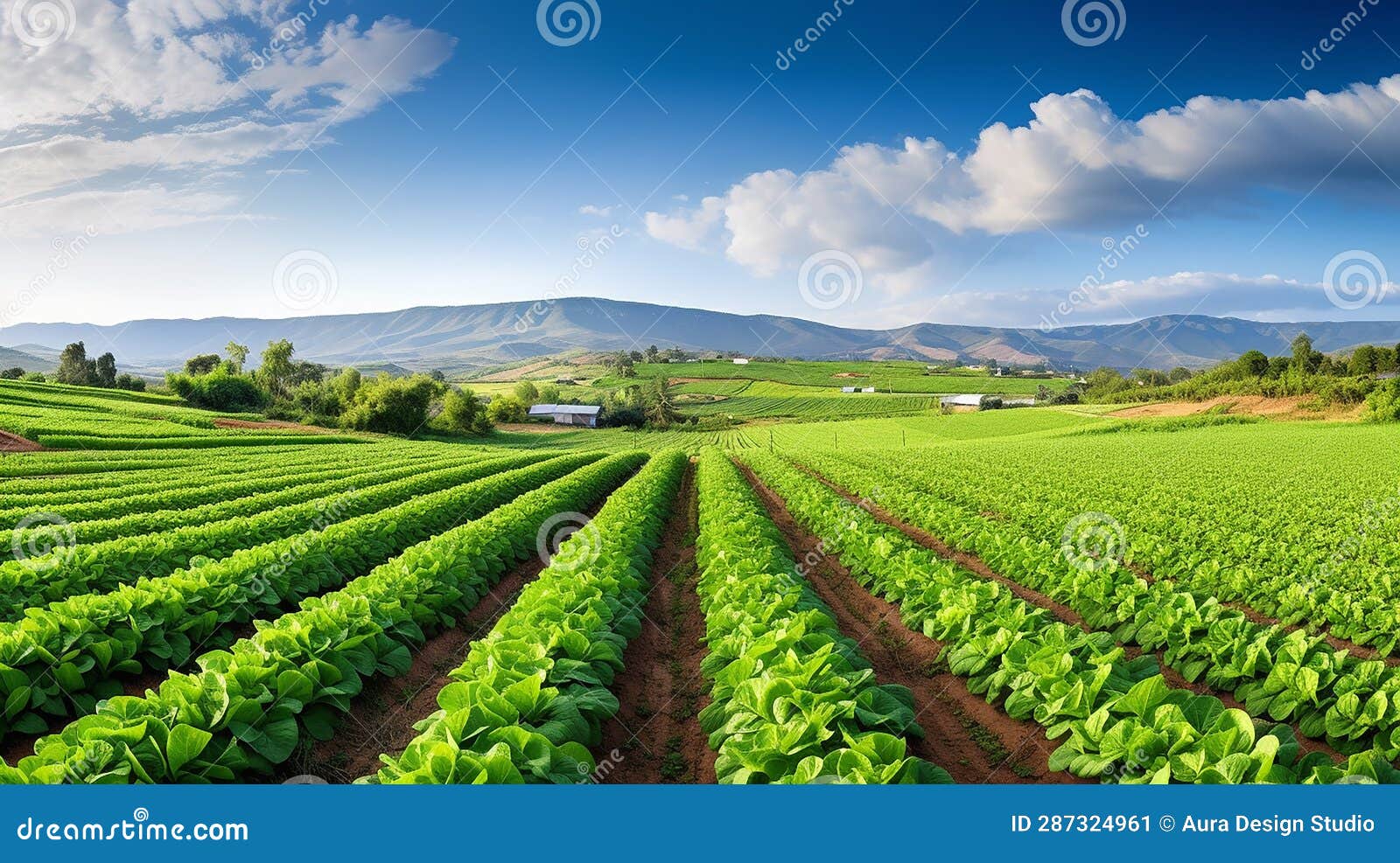 Panoramic Photo of a Beautiful Agricultural View with Bright Sky Stock ...