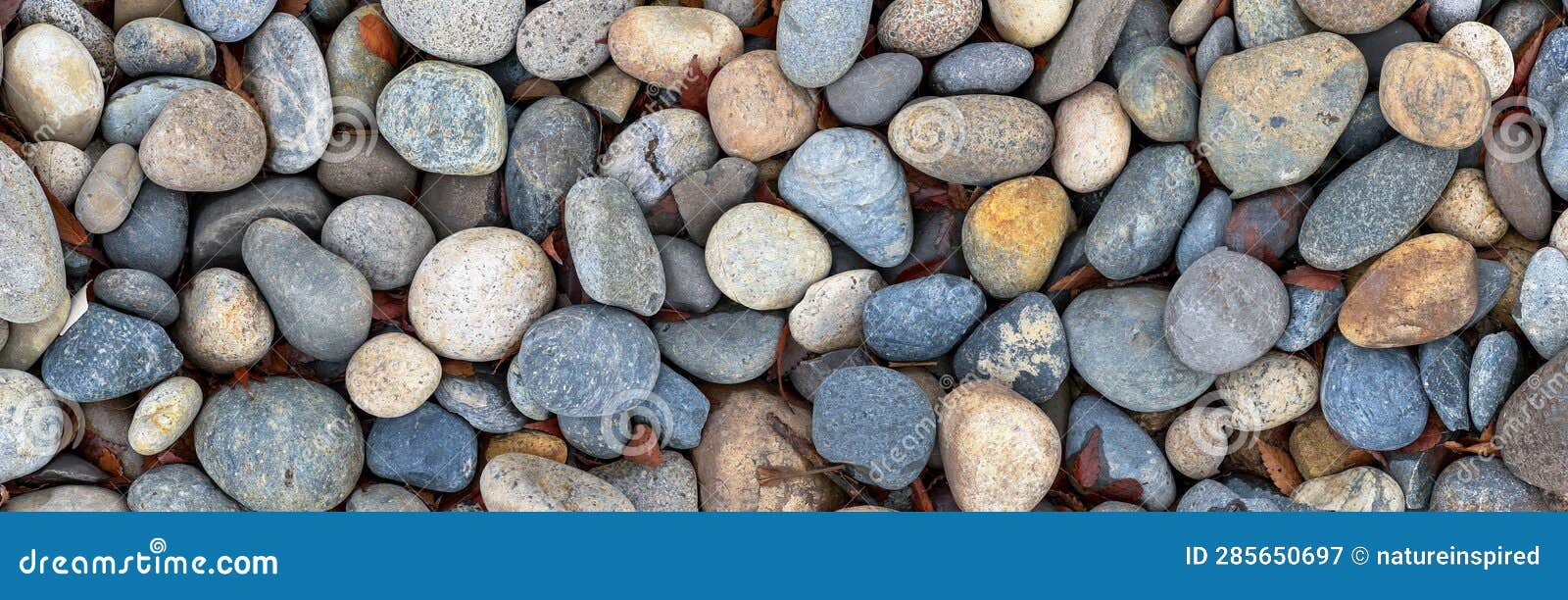 Panoramic Closeup of River Rocks and Fall Leaves Stock Image - Image of ...