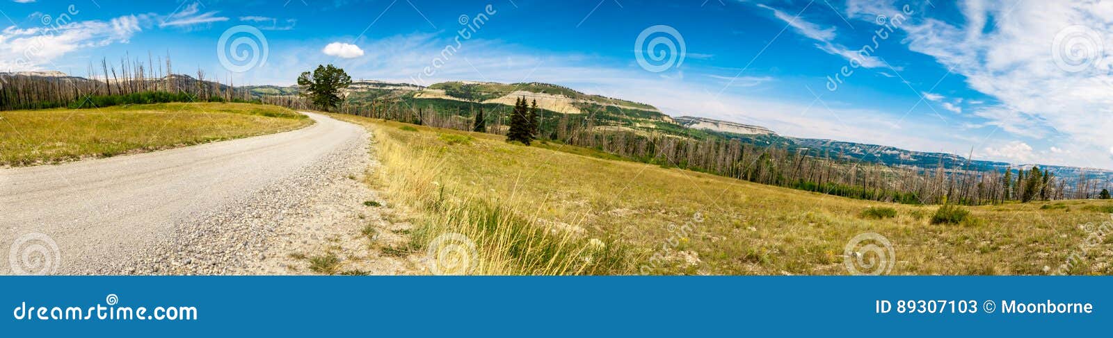 Panoramic Road stock image. Image of country, journey - 89307103