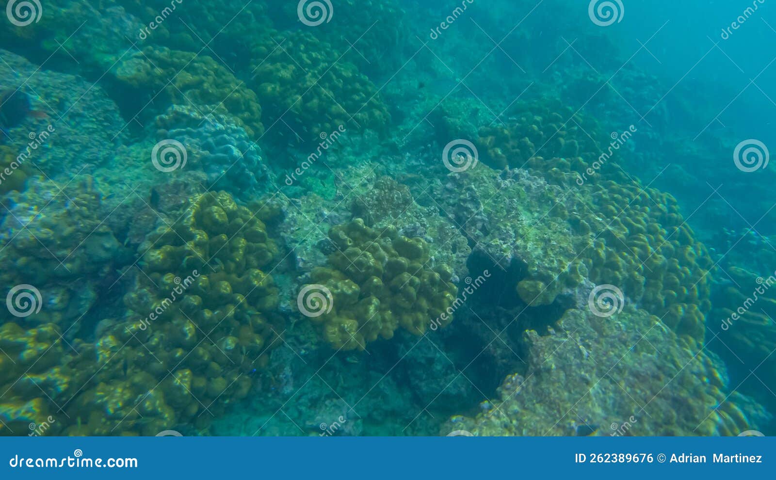 Panoramic Scene Under Water and Blue Background Stock Photo - Image of ...