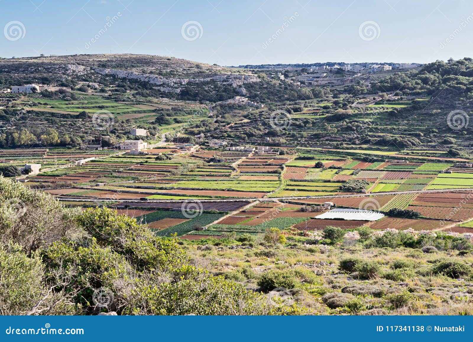 Panoramic Scenic View of Typical Winter Malta Fields Stock Photo ...