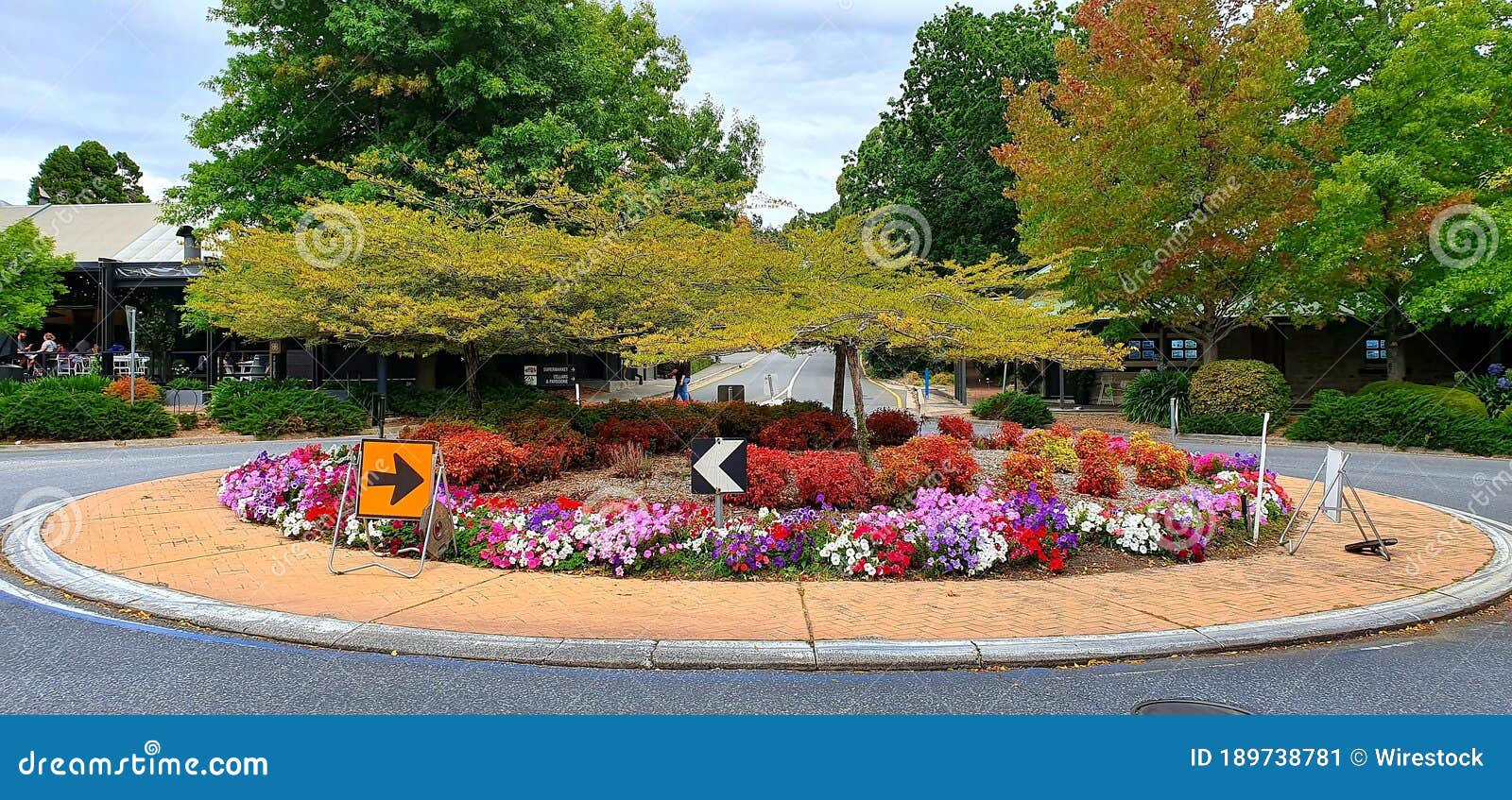 Panoramic Shot of Colorful Flowers in the Roundabout Surrounded by ...