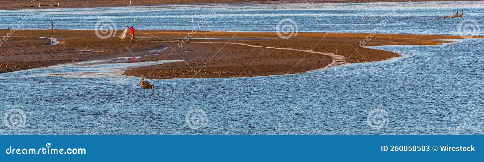Panoramic Shot of the Muddy Shore Stock Image - Image of view, borwn ...