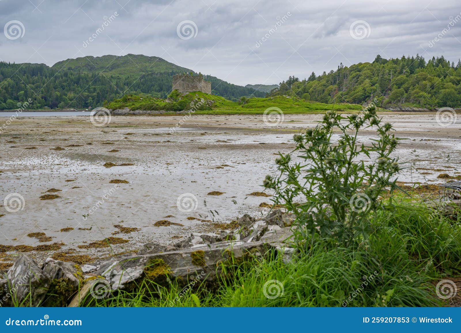Panoramic Shot of the Tioram Castle by a Lake and Forests Stock Image ...