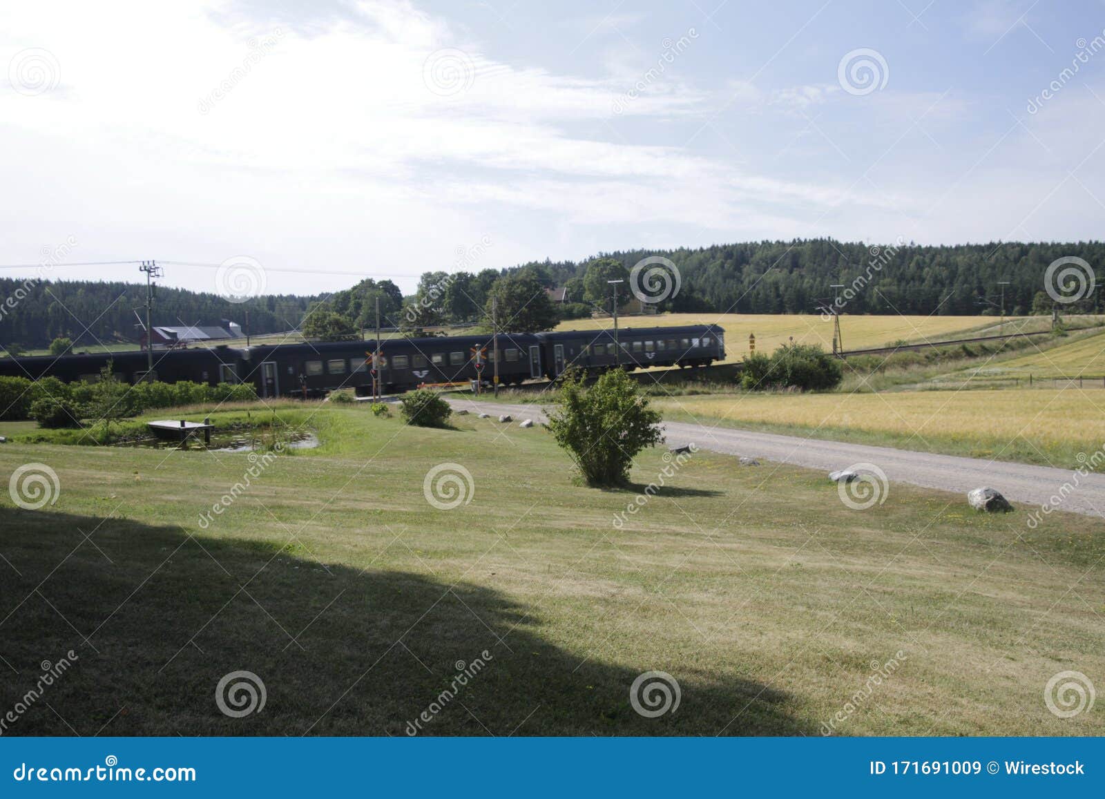 Panoramic Shot of a Train Passing through Green Pastures Stock Image ...