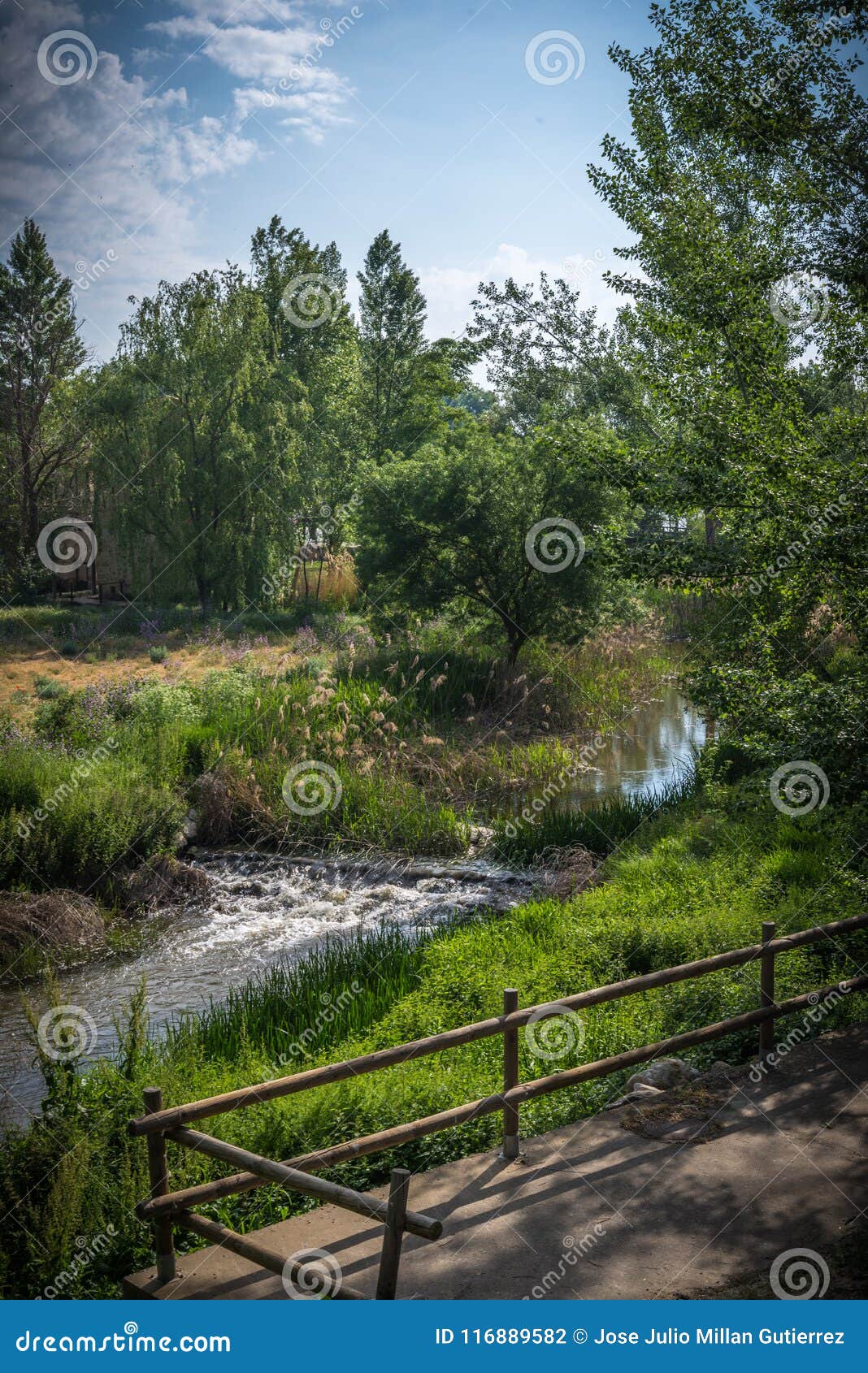 Rivera of the River in Spring Stock Photo - Image of park, light: 116889582