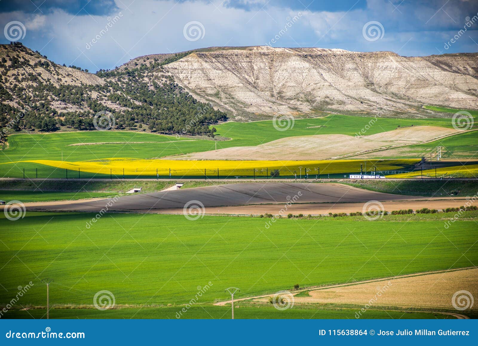 Sight of the Fields in Spring in Spain Stock Photo - Image of garden ...