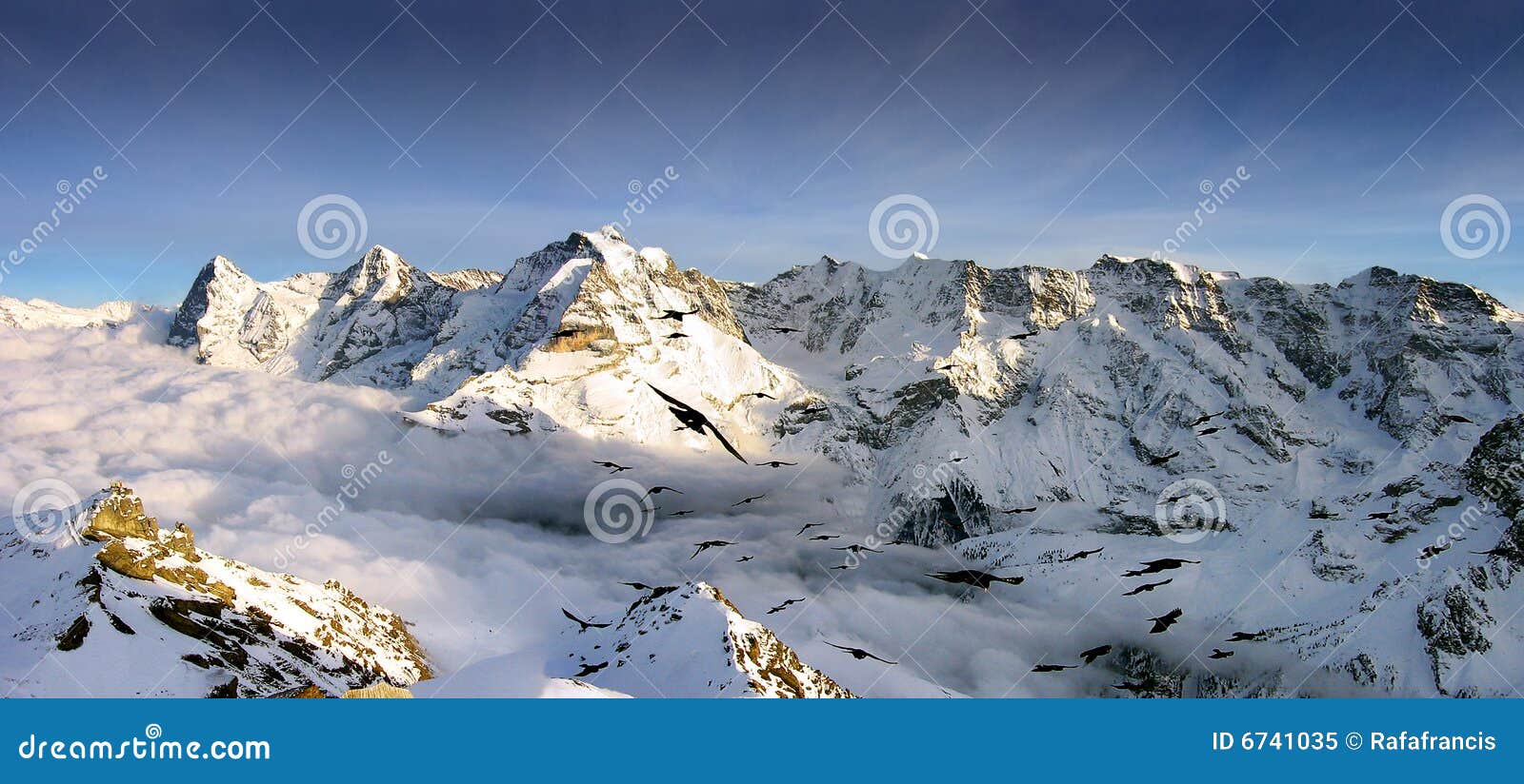 Panoramic Swiss Alps view stock image. Image of range - 6741035