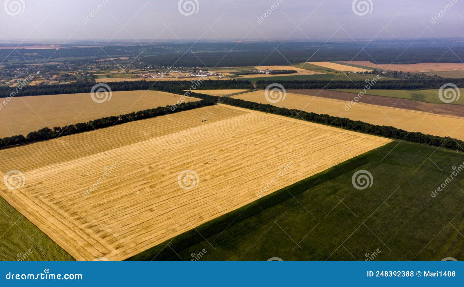 Panoramic Top View Wheat Field. Different Agricultural Fields Stock ...