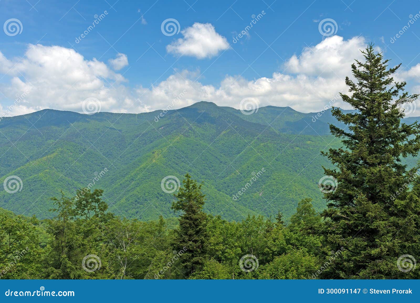 Panoramic and Verdant View of Mount Mitchell Stock Image - Image of ...