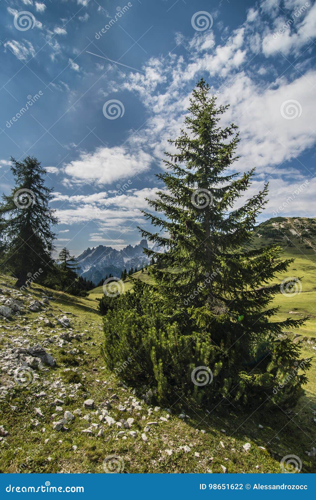 Panoramic View of Alps Mountains Stock Photo - Image of tree, cloud ...