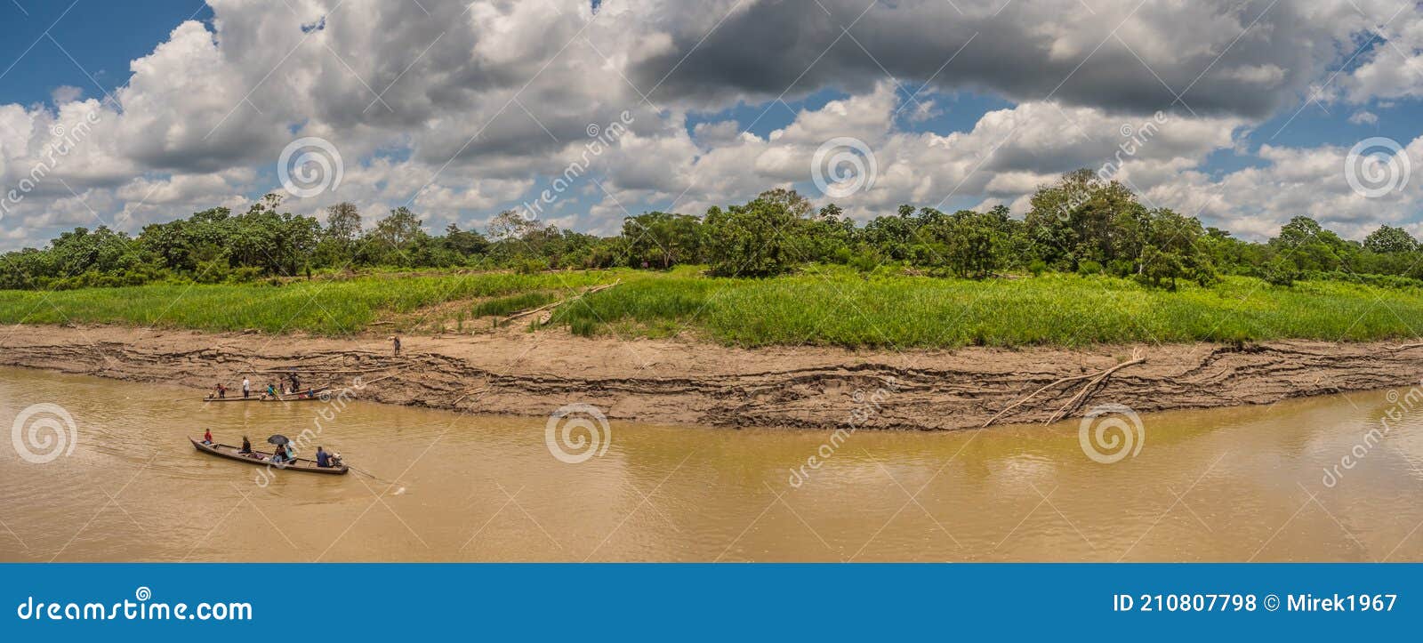 Panoramic View for the Amazon Stock Photo - Image of bank, jungle ...