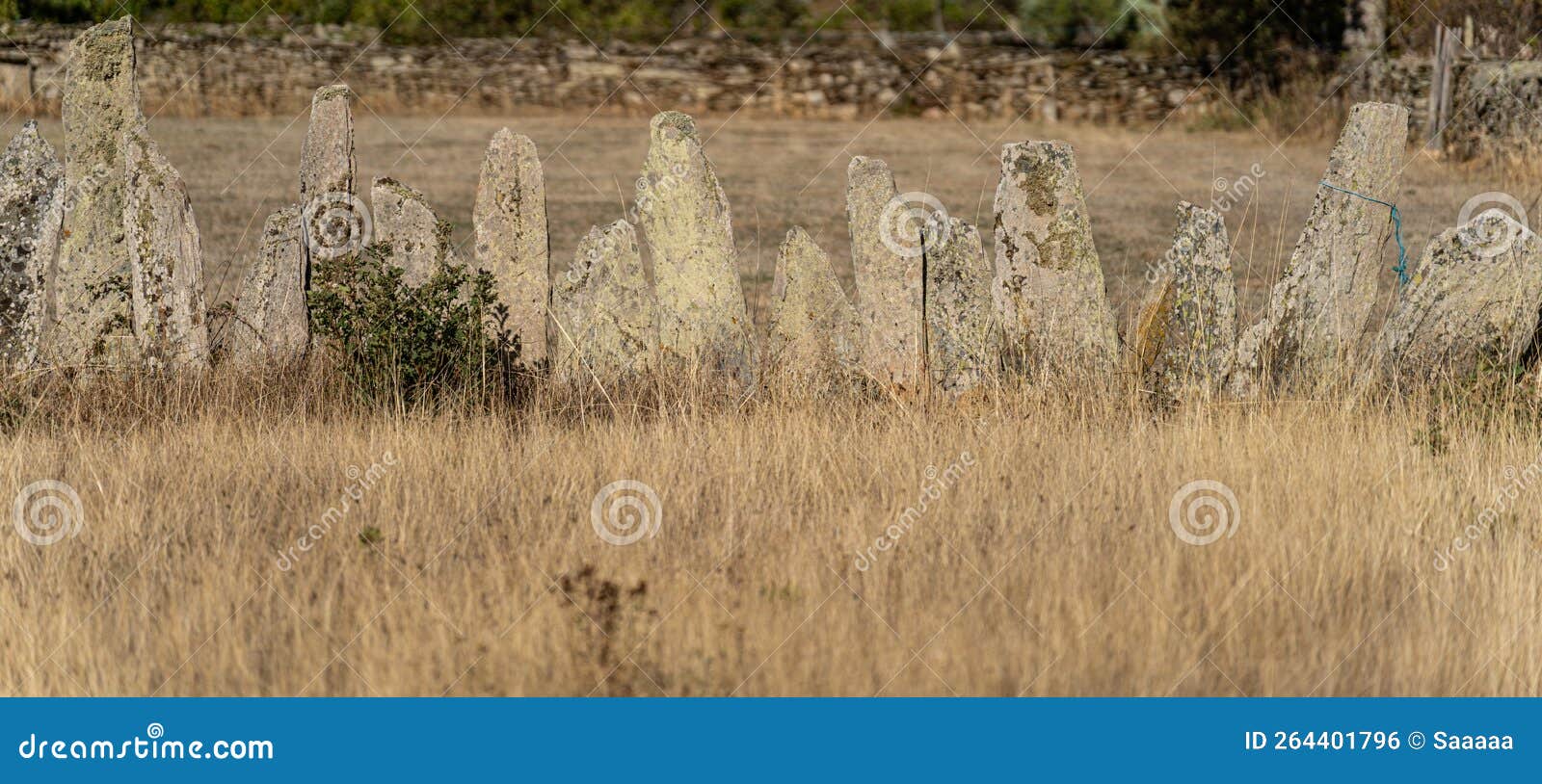 Slate Wall Separating Crops, Shallow Depth of Field Stock Photo - Image ...
