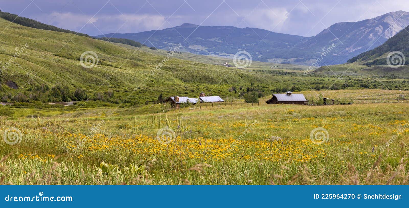 Panoramic View of Barns in Wildflower Meadow Stock Photo - Image of ...