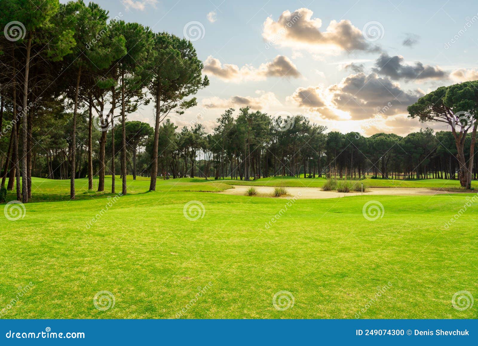 Panoramic View of Beautiful Golf Course with Pines with Dramatic Sky ...