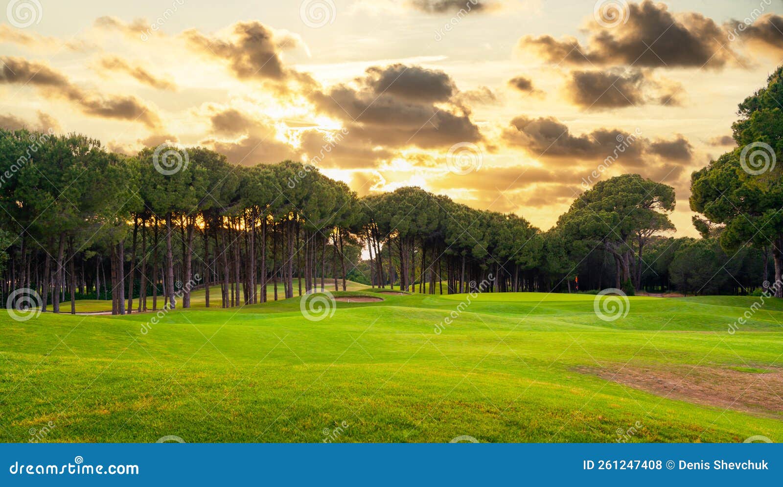 Panoramic View of Beautiful Golf Course with Pines with Dramatic Sky ...