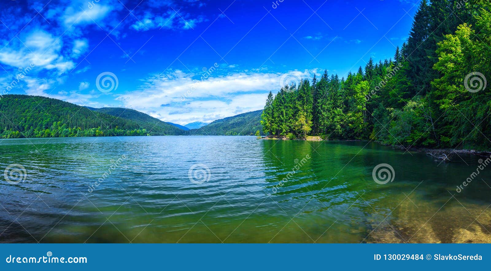 Panoramic View of Beautiful Lake and Spruce Forest in Mountains Stock ...