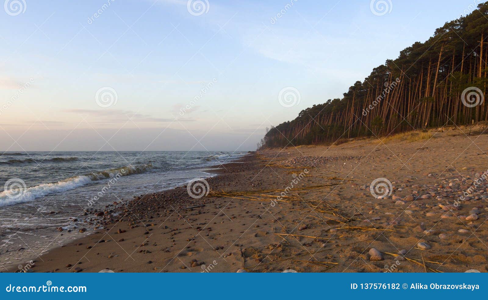 Panoramic View Beautiful Sunset on the Sandy Beach of the Baltic Sea in ...