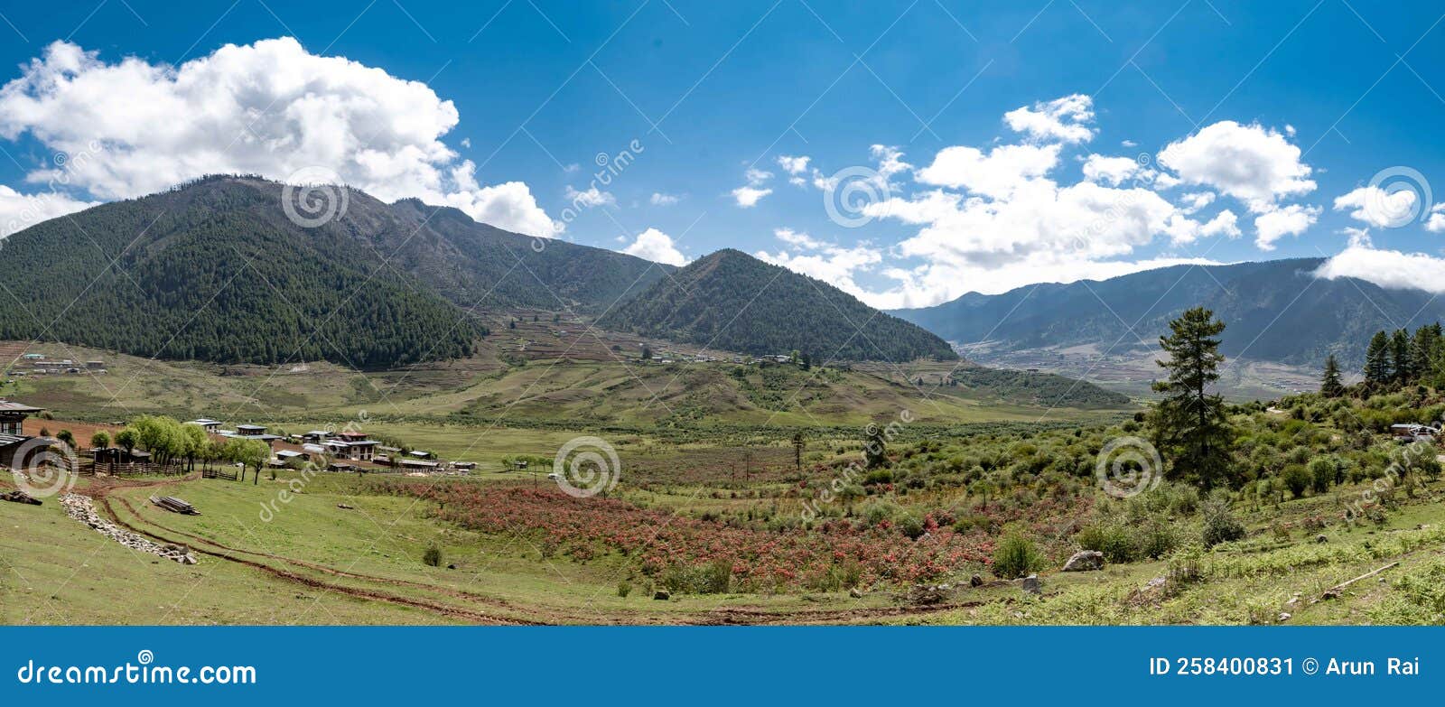 Panoramic View of a Beautiful Valley Stock Image - Image of farm ...