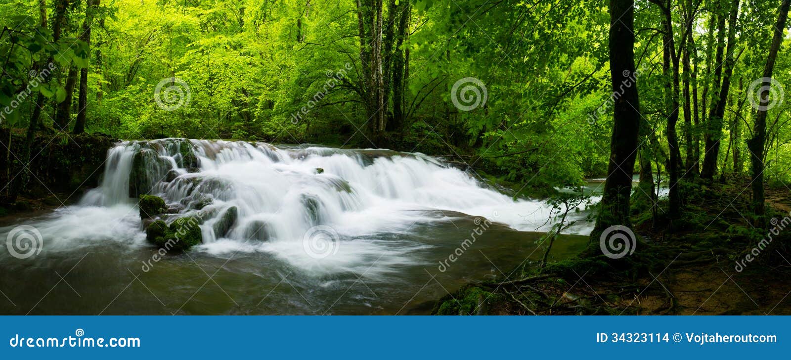 Panoramic View of the Beautiful Wild Brook in Jungle-like Forest Stock ...