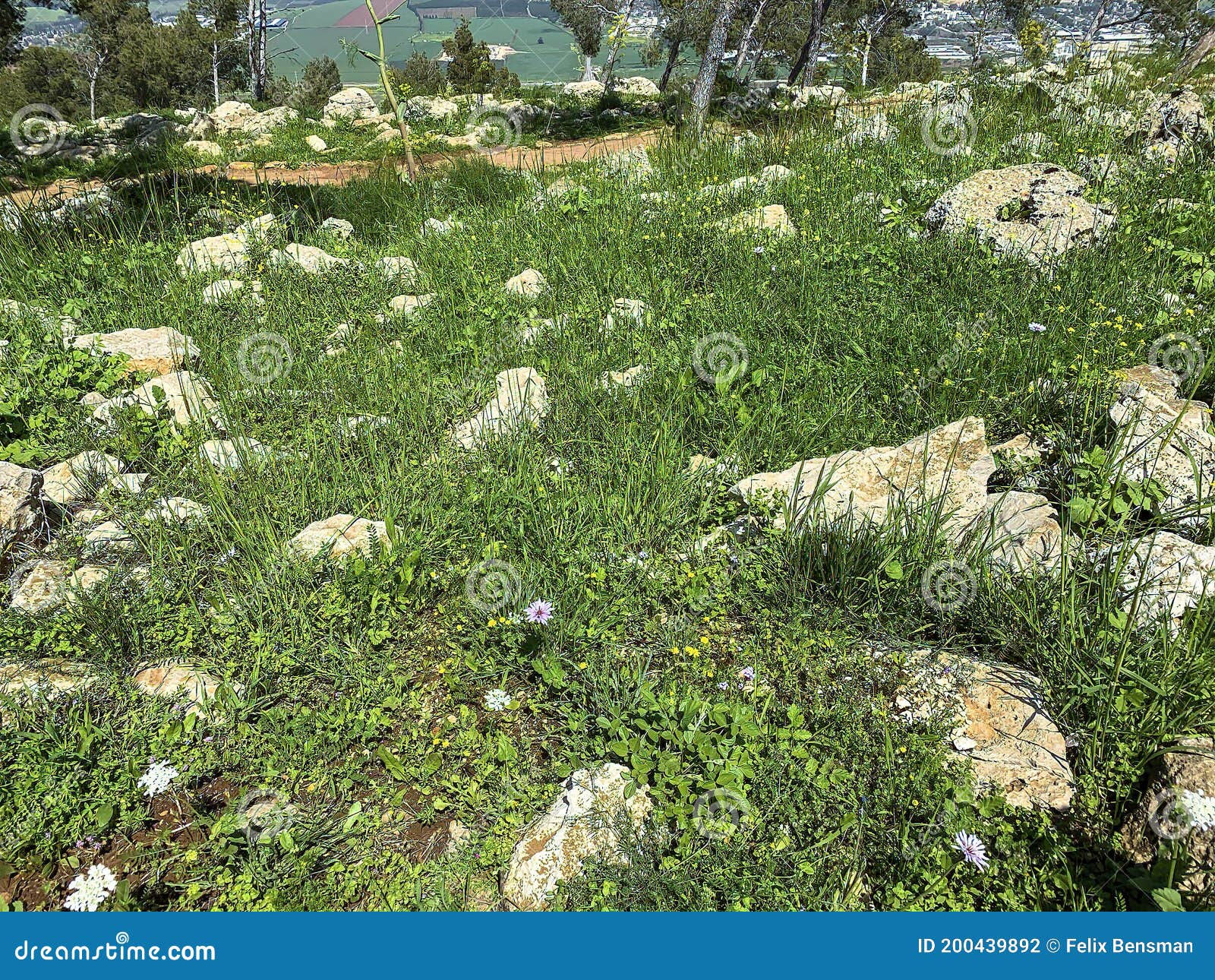 Panoramic View on Beit Shean Valley from Mount Gilboa Israel Stock ...