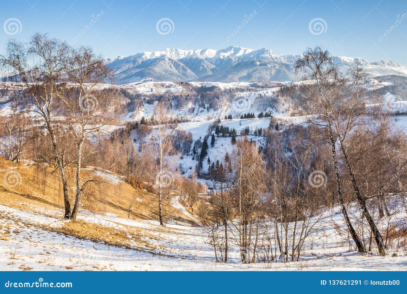 Panoramic View of Bucegi Mountains, View from Pestera, Brasov ...