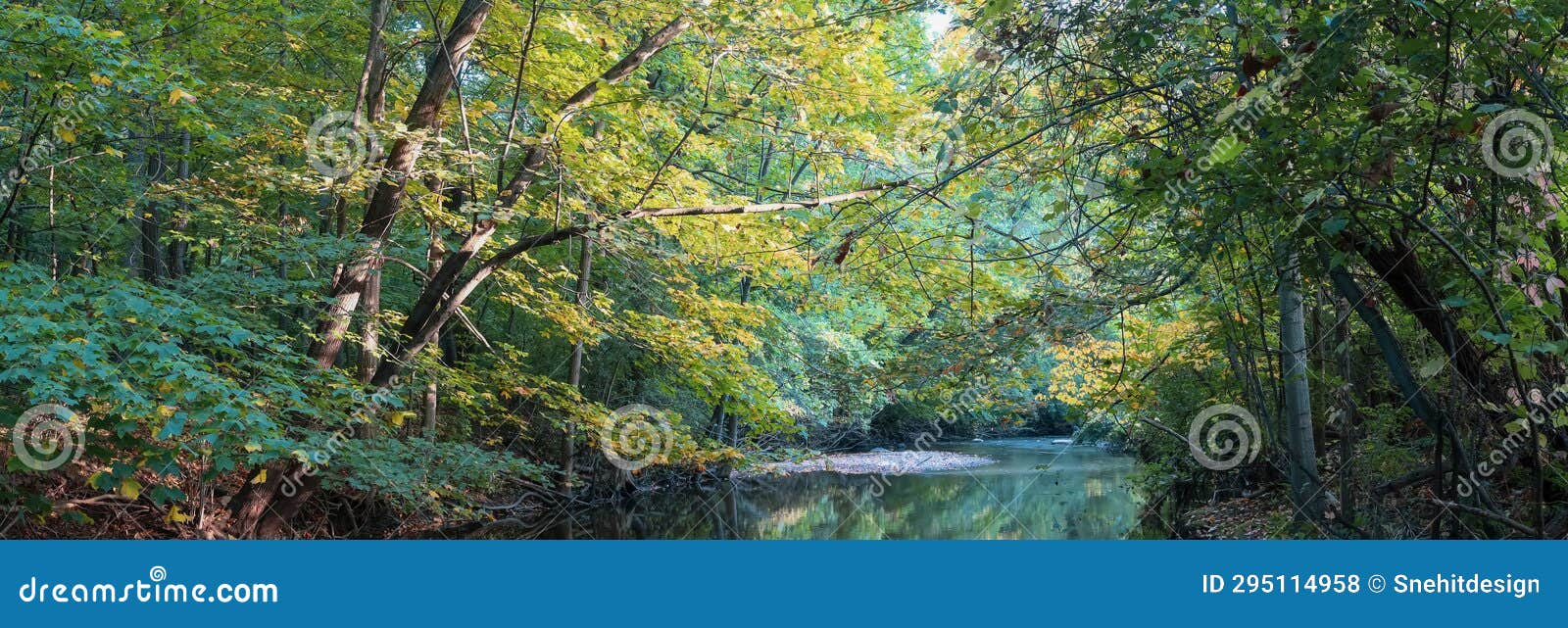 Colorful Maple Trees with Colorful Fall Foliage Along Huron River ...