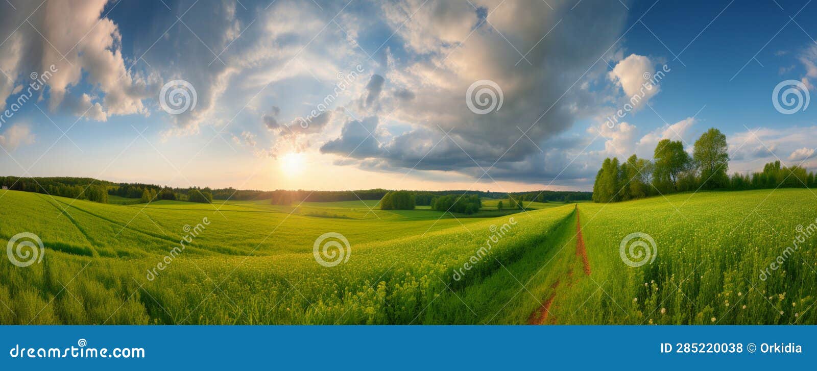 Panoramic View of Countryside Field in the Sunset. Nature Design Stock ...