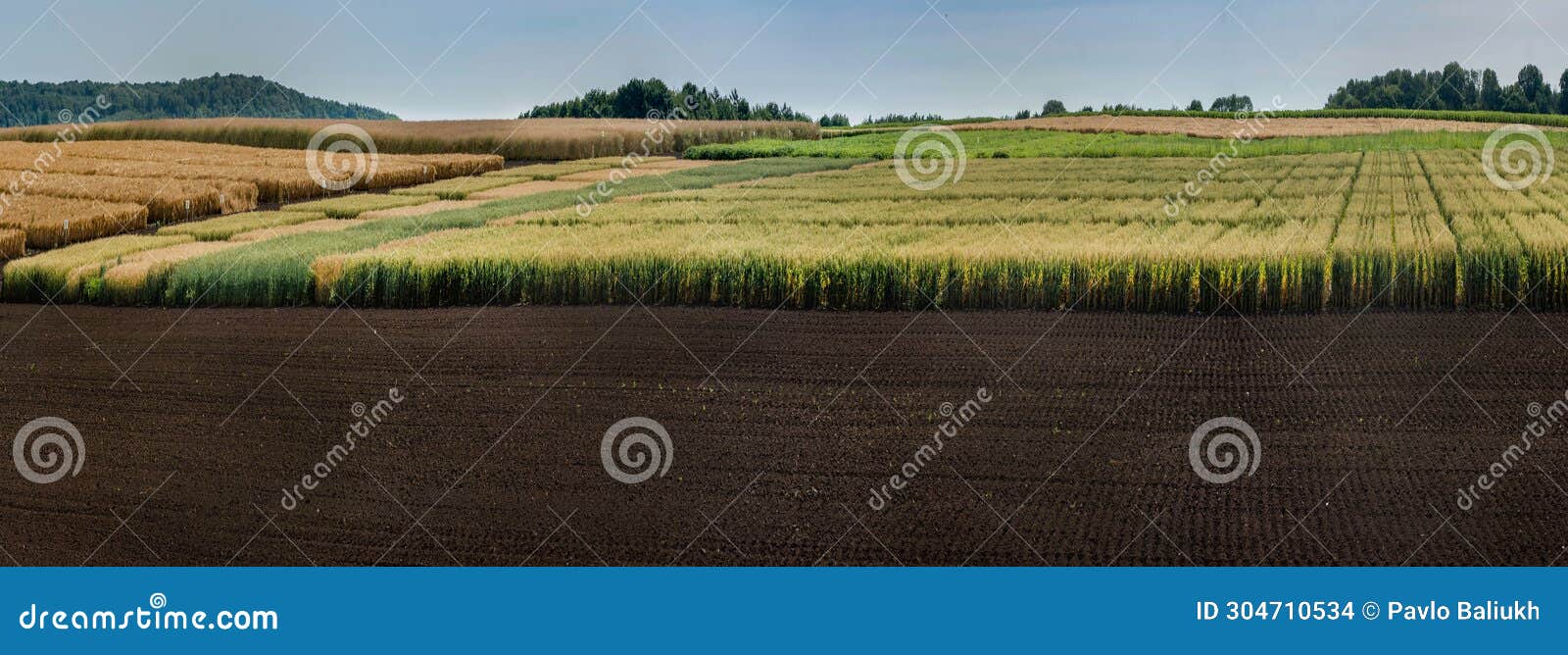 Panoramic View and Cultivated Land in Front, Sectors with Types of ...