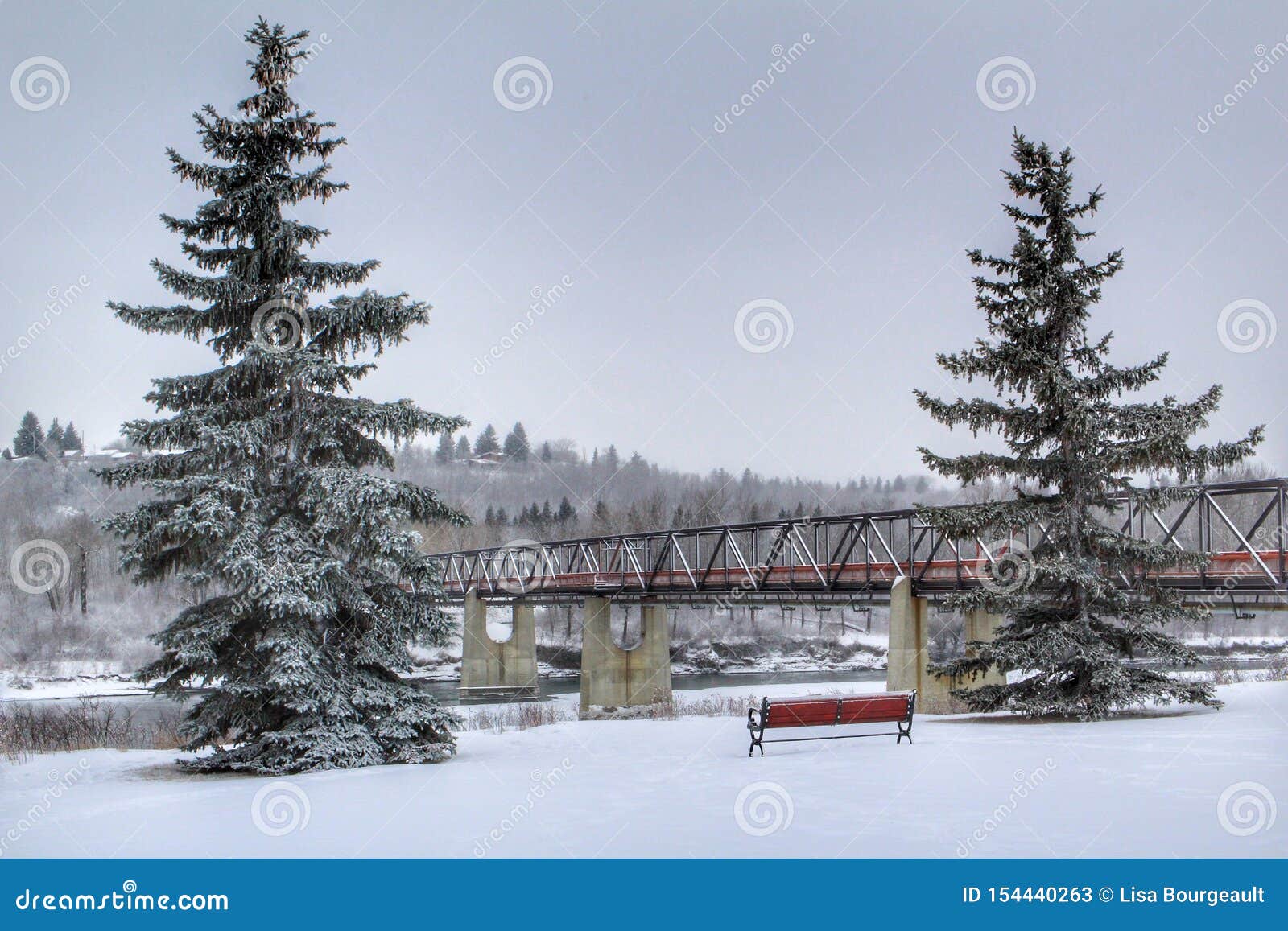 Winter Scenery in an Edmonton Park Stock Image - Image of rivervalley ...